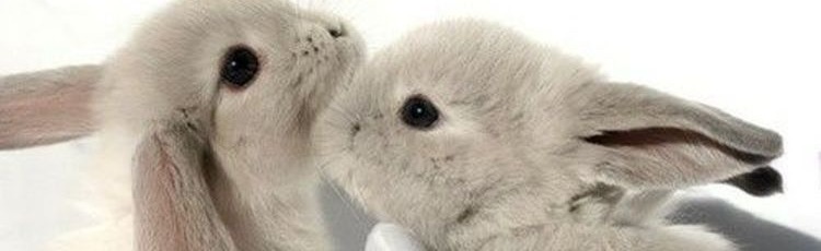 ari's goon server | Discord Me